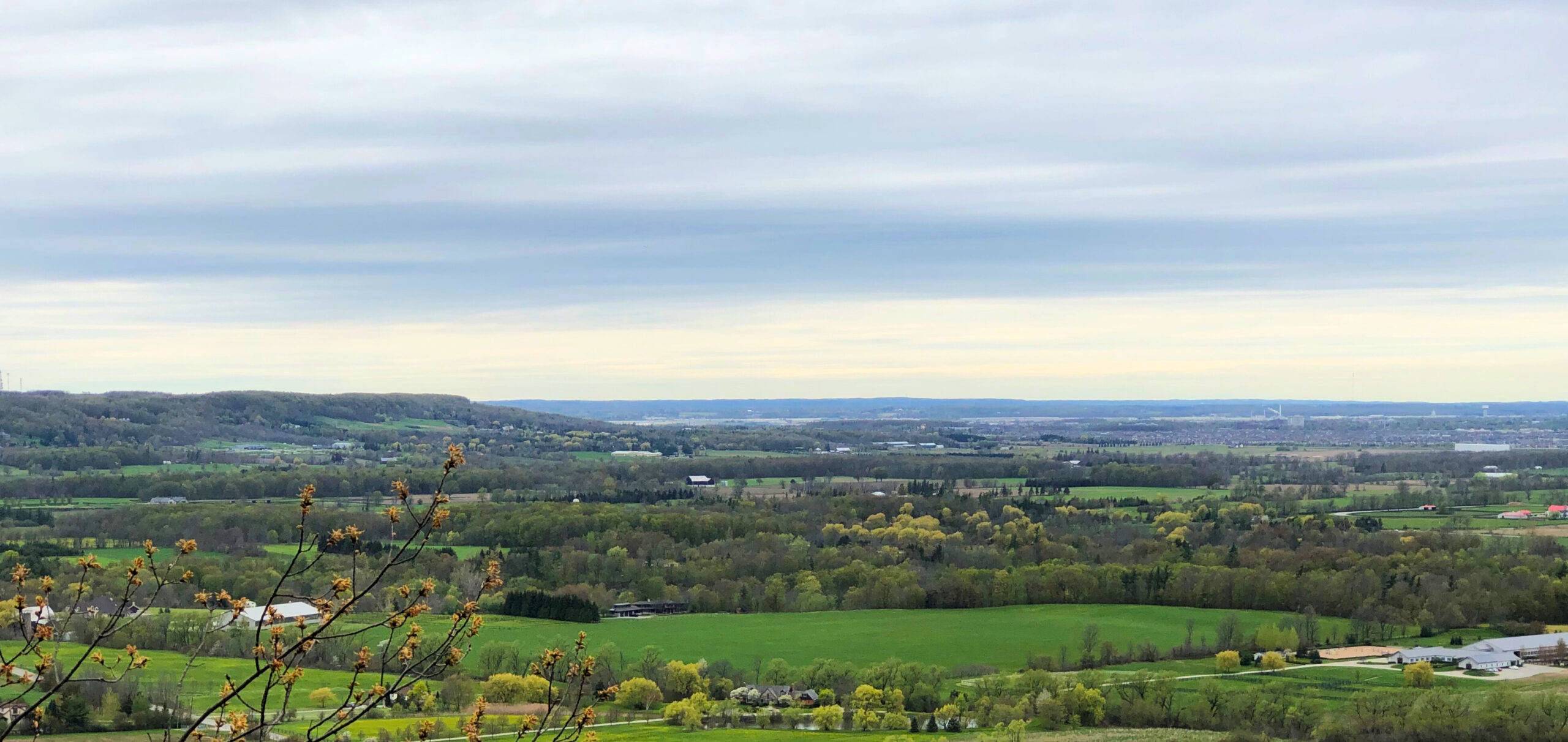 Halton Community Legal Services